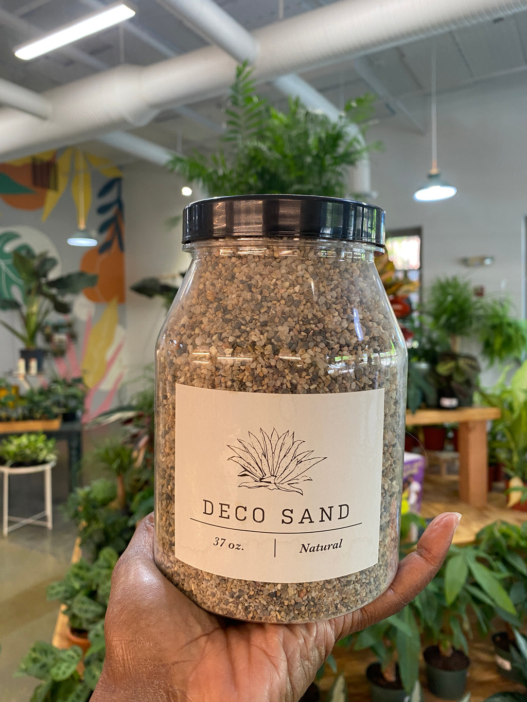 Deco Sand – A Pot to Plant In