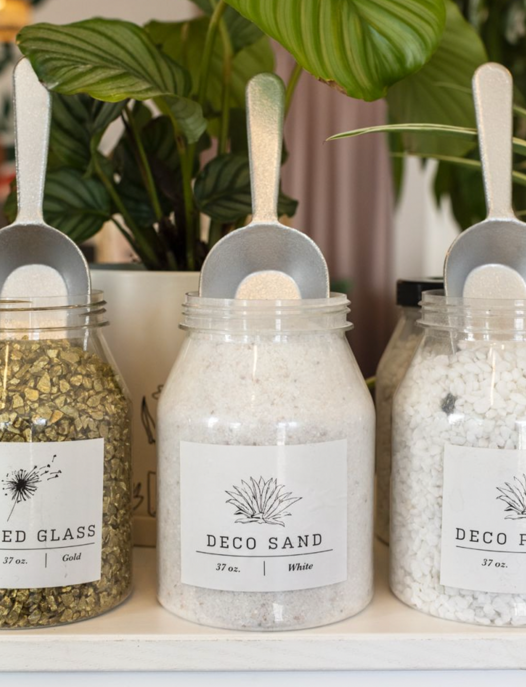 Deco Sand – A Pot to Plant In